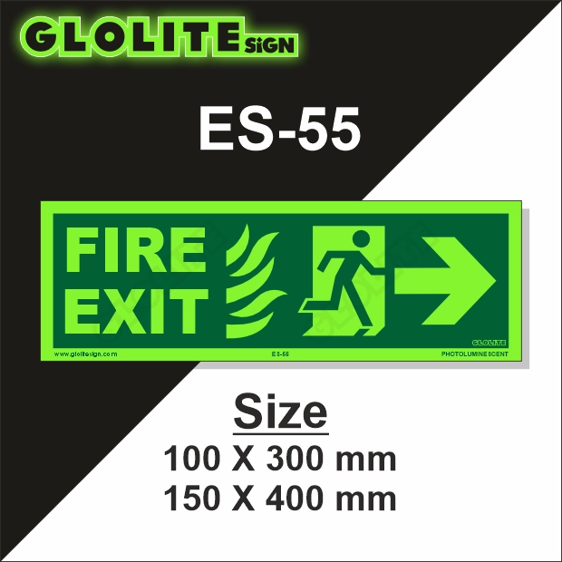 Top Fire Exit Es 55 | Glolite Sign